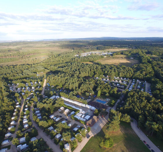Wareham Forest Tourist Park Dorset- Best of British