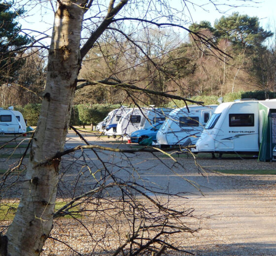Wareham Forest Tourist Park Dorset- Best of British