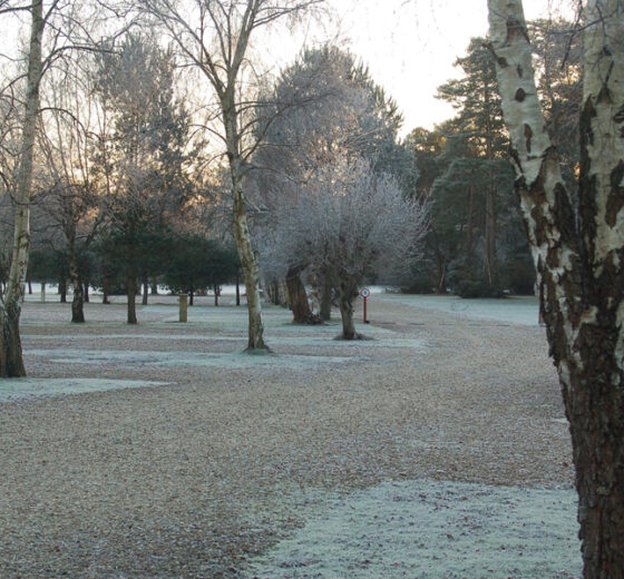 Wareham Forest Tourist Park Dorset- Best of British