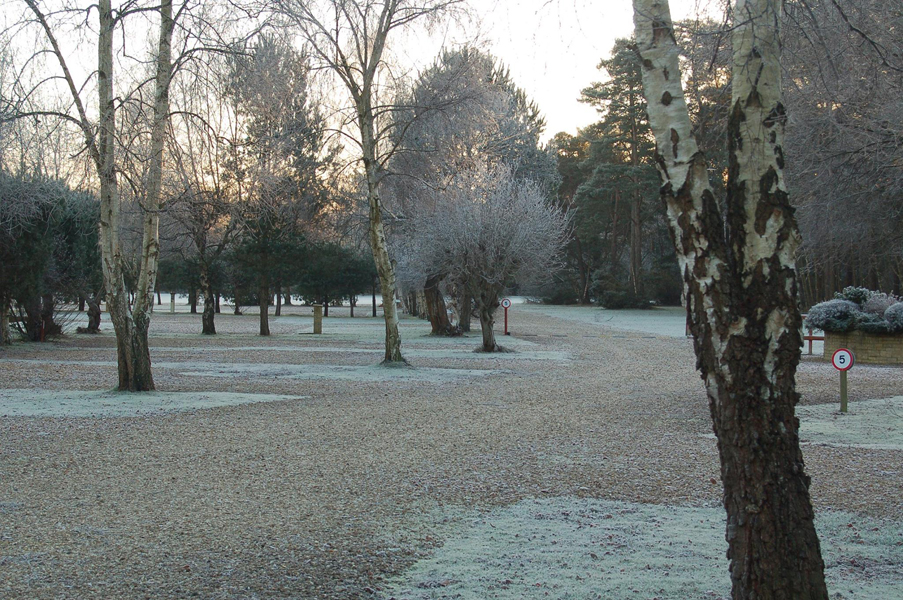 Wareham Forest Tourist Park Dorset- Best of British