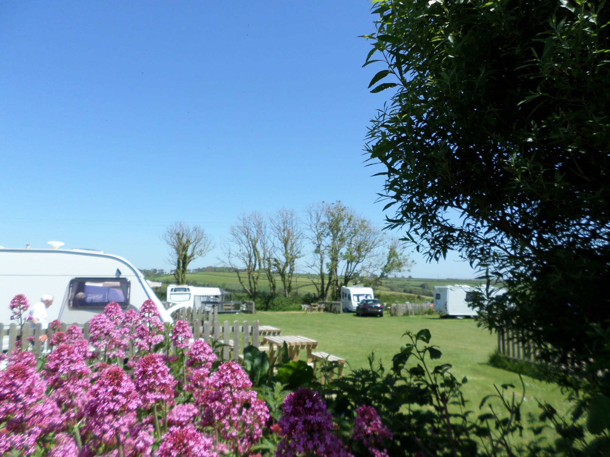 Parkland Caravan and Camping Site - New Best Of British Holiday Park ...